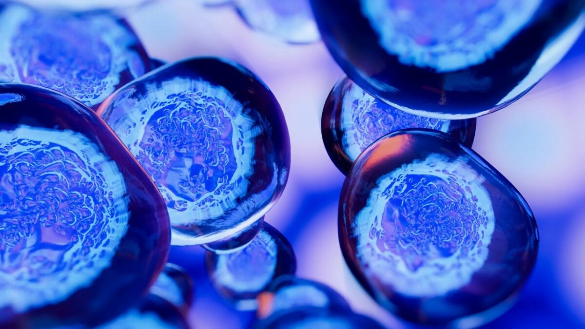 Single Cell Omics symposium | Biocenter